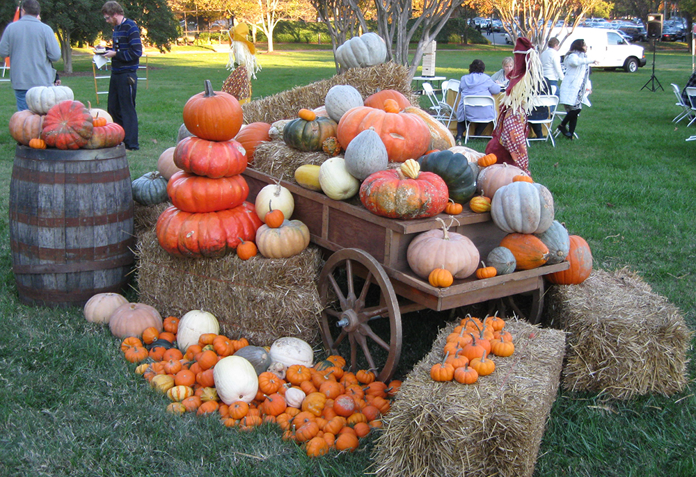 Fall Festival Theme | Magic Special Events